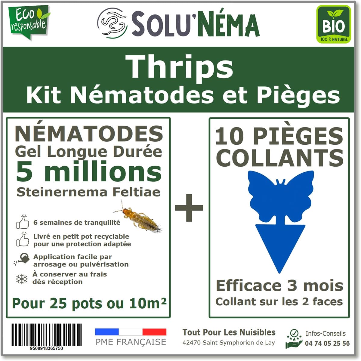 Kit Thrips - 5 millions Nématodes et 10 pièges collants Solu'Chêne